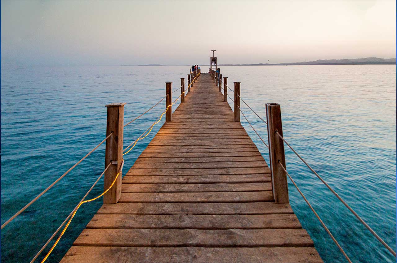 Unlocking the Potential of Islamic Finance: An In-Depth Look at IsDBI’s ...